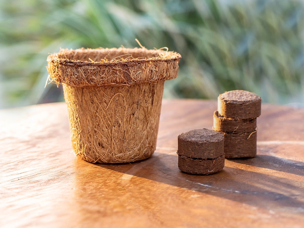 Organic Discs Potting Soil Mix | Coco Coir Soil | Envelor Home ...