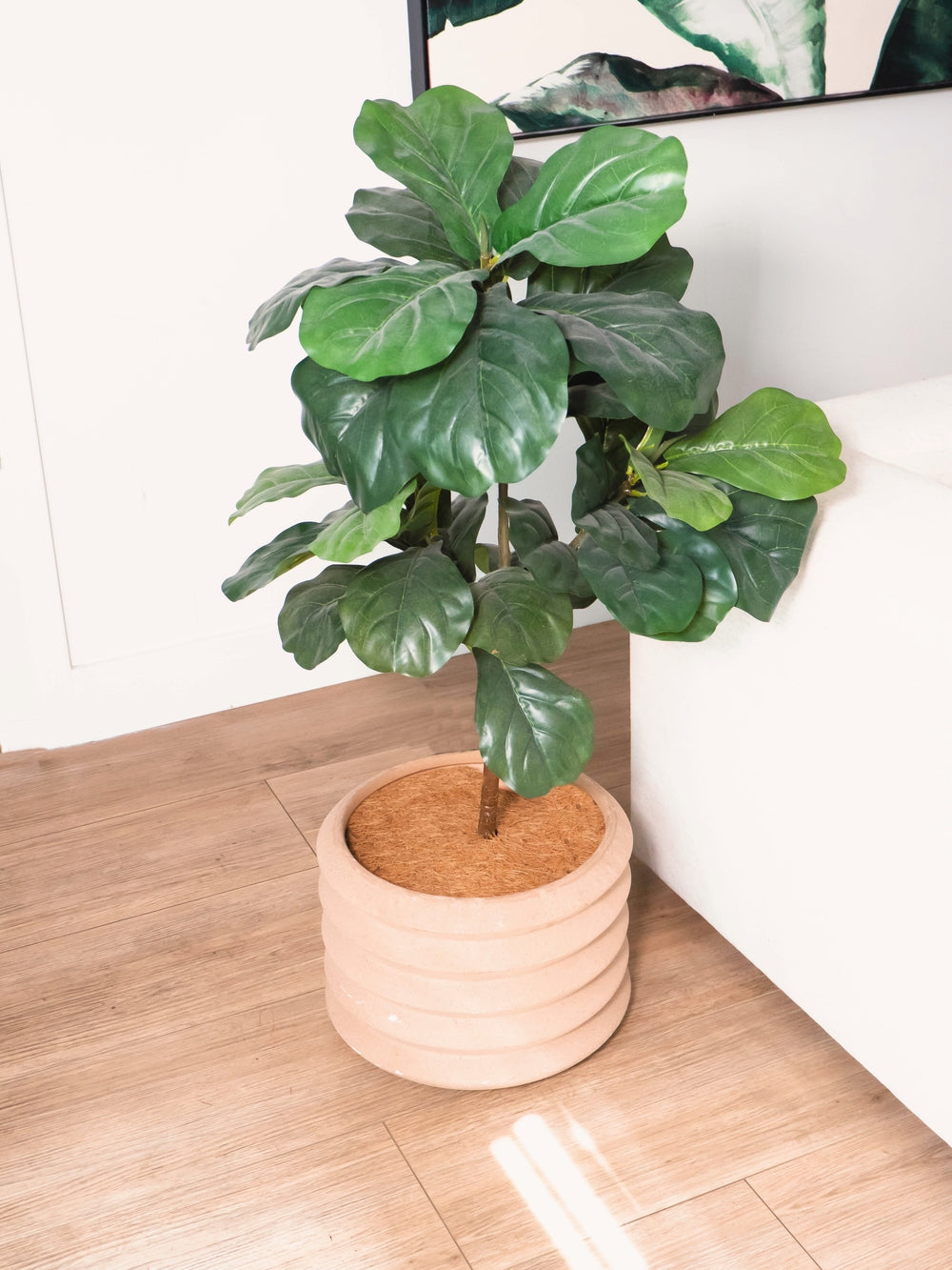 Weed Control Discs Coco Tree Rings | Tree Rings Landscaping – EnvelorHome