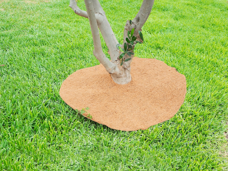 24 Inches Weed Control Discs Coco Tree Rings Can Save Your Garden ...