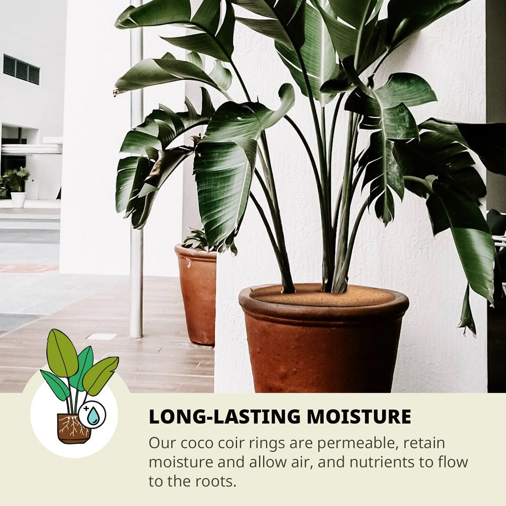 Weed Control Discs Coco Tree Rings | Tree Rings Landscaping – EnvelorHome